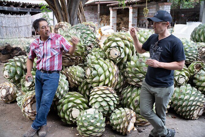 Mezcal Distillery Day Trip - A Complete Look at the Mezcal Distillery Day Trip