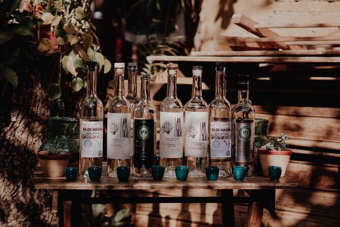 Mezcal & Mole by a Certified Sommelier - The Value of This Experience