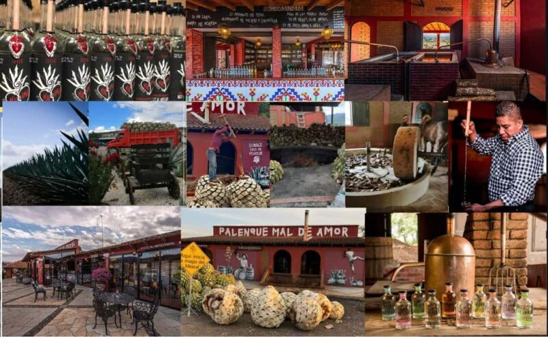 Mezcal Oaxaca: Tour, Gastronomy and Mezcal Tasting - FAQs