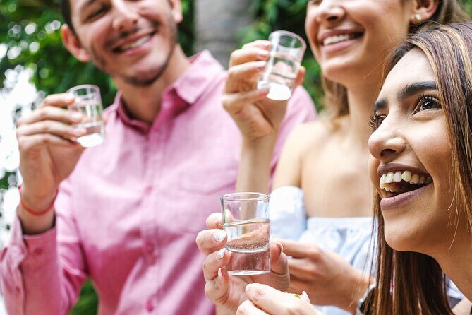 Mezcal Tasting and Immersive Experience in Mexico City - Discovering the Spirit of Mexico: What to Expect