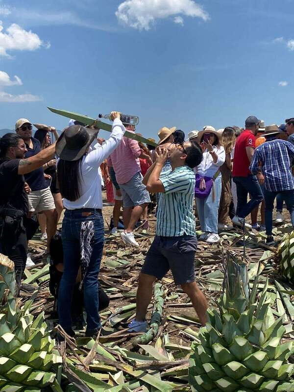 Mezcal Tour Oaxaca - An In-Depth Look at the Mezcal Tour Oaxaca