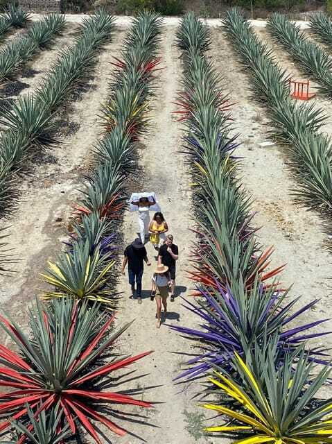 Mezcal Tour Oaxaca - FAQ