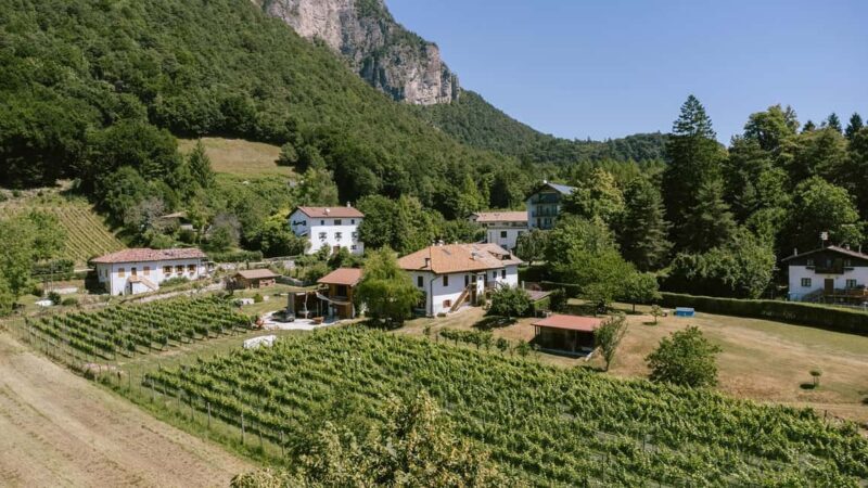 Mezzocorona: vineyard Tour on Mount and tasting of 3 wines - Key Points