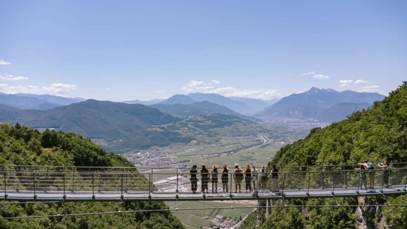 Mezzocorona: vineyard Tour on Mount and tasting of 3 wines - Skywalk and Suspended Bridge