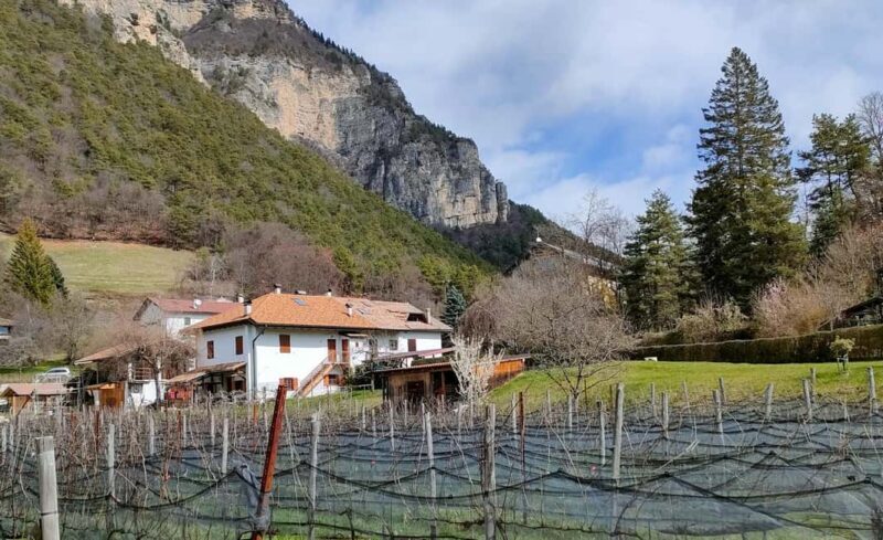Mezzocorona: vineyard Tour on Mount and tasting of 3 wines - Reviews and Real Experiences