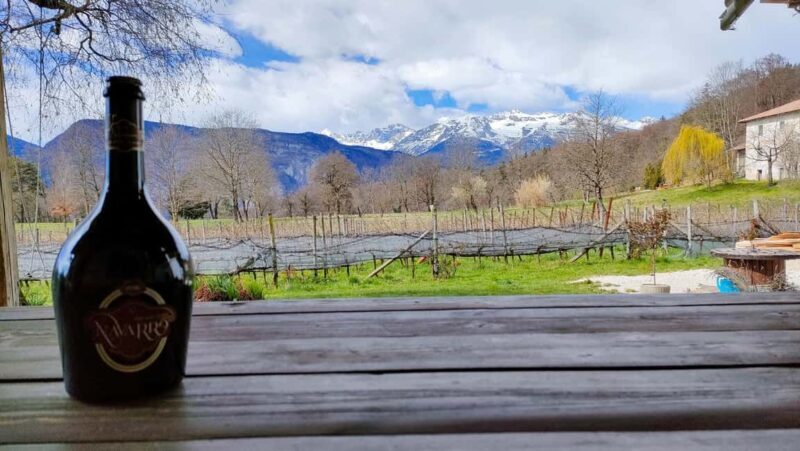 Mezzocorona: vineyard Tour on Mount and tasting of 3 wines - The Sum Up