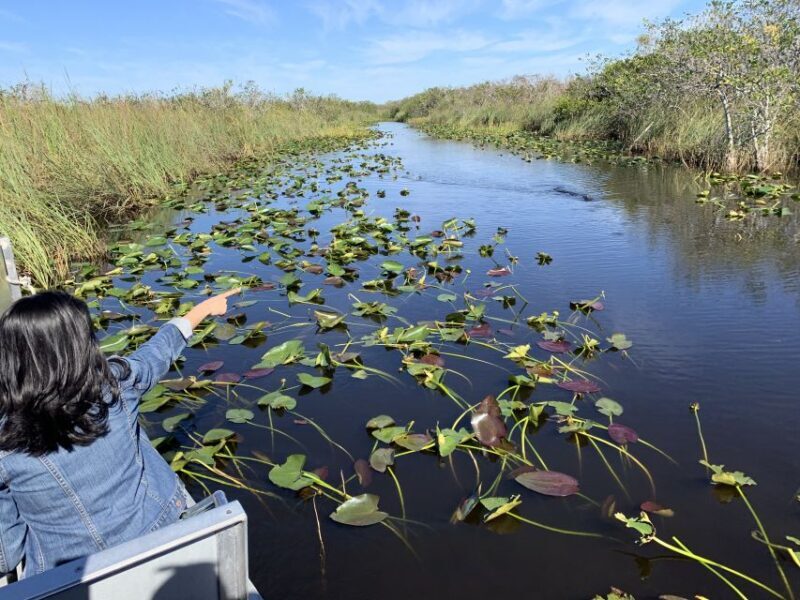 Miami: Alligator Spotting Airboat with Pick-Up/Drop-off - Who Might Want to Skip It?