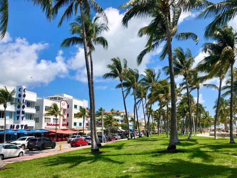 Miami Beach: Guided Tour with Expert Local Guide - Exploring the Highlights in Detail