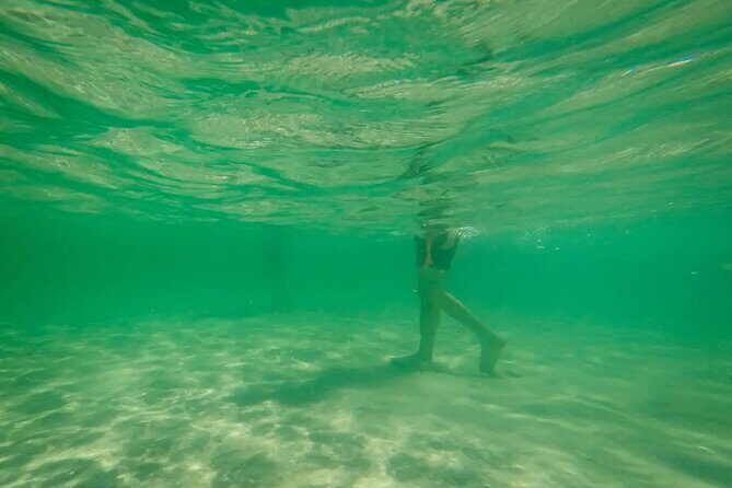 Miami Biscayne Bay Boat Tour with Sandbar Experience. - What the Reviews Say