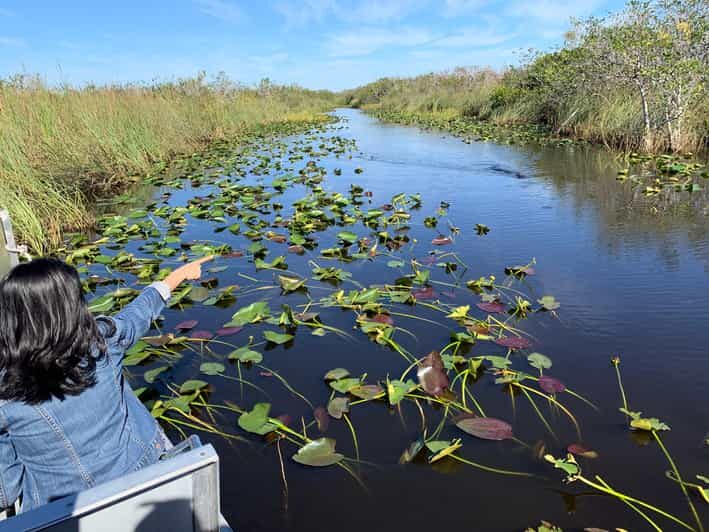 Miami: Everglades Airboat, Gator Experience with Transfer - Key Points