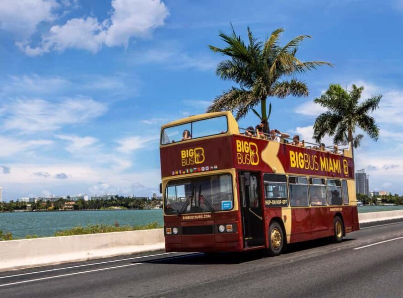 Miami: Everglades Experience, Bay Cruise & Open-Top Bus Tour - The Sum Up