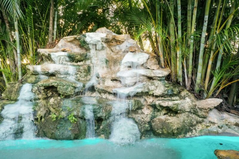 Miami: Everglades National Park Airboat Tour & Wildlife Show - Introduction to the Everglades Tour Experience