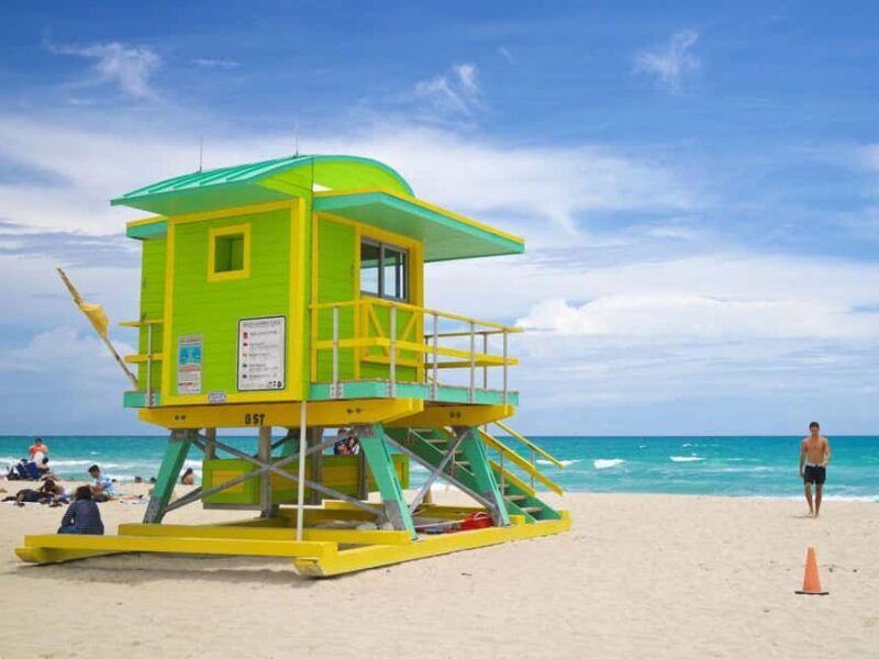 Miami: Explore Magic City in Style  2-Hour VIP Tour - Key Points