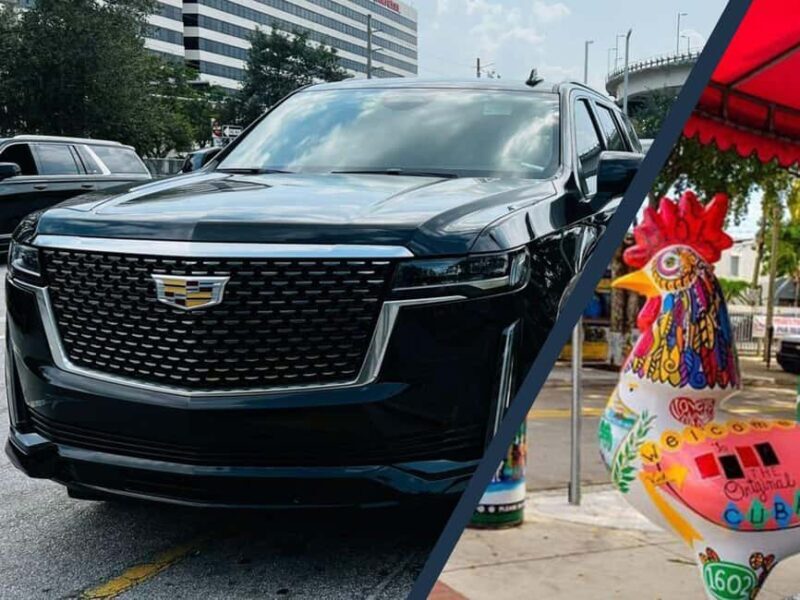 Miami: Explore Magic City in Style  2-Hour VIP Tour - What to Expect from This Miami VIP Tour