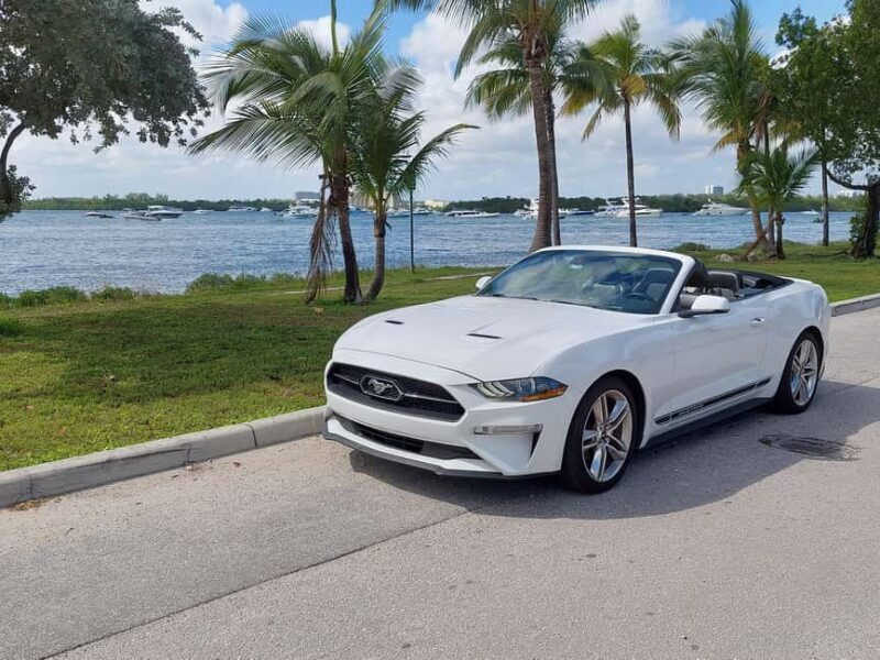 Miami: Full-day tour of the Keys in a convertible Mustang in French - Practical Tips for Your Trip