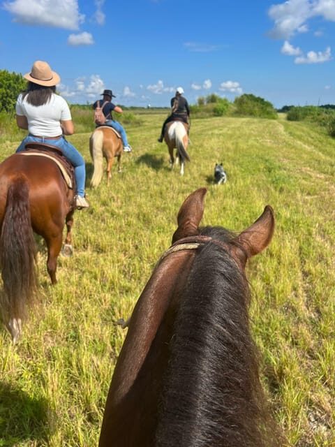 Miami: Guided Horseback Riding Tour - Who Will Love This Tour