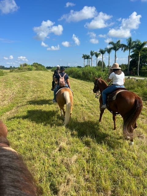 Miami: Guided Horseback Riding Tour - FAQ