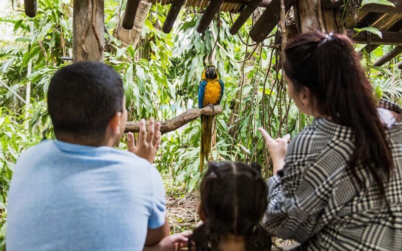 Miami: Jungle Island General Admission - Key Points