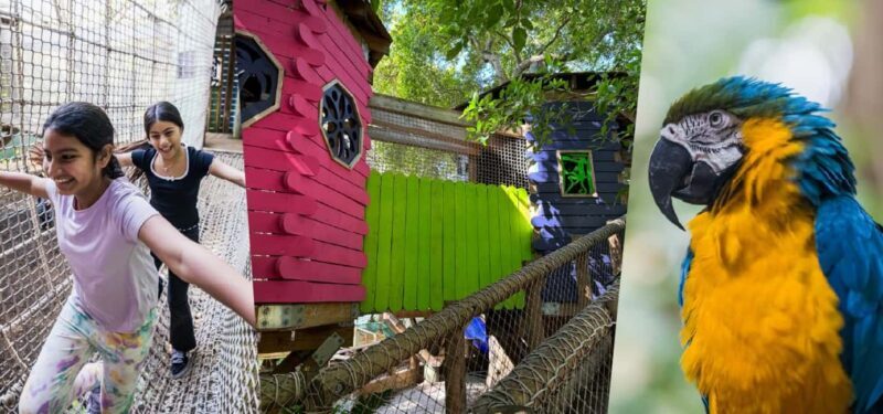 Miami: Jungle Island General Admission - The Sum Up