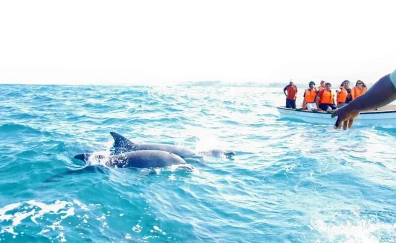 Miami: Key West Day Trip with pickup and boating options - Similar Experiences to Consider