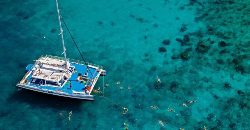 Miami: Key West Day Trip with pickup and boating options - The Sum Up