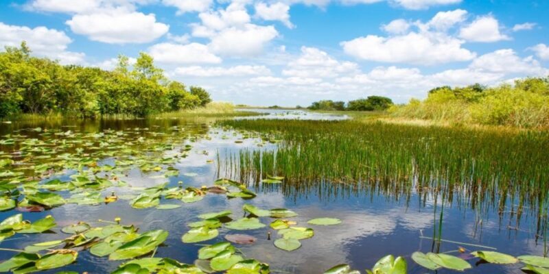 Miami Premium Everglades Driving Tour with Airboat Ride - Practical Tips for Travelers