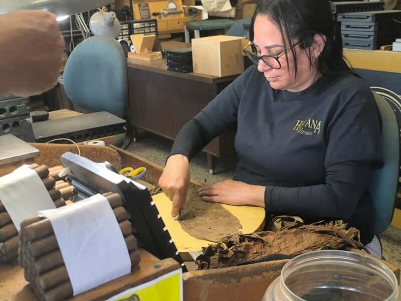 Miami: Private tour in a convertible Mustang in French - Who is this tour suited for?