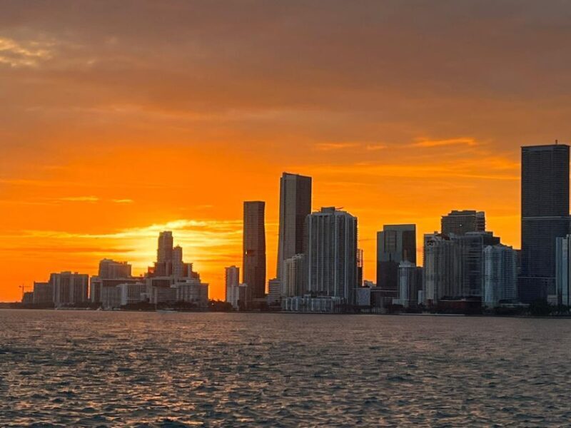 Miami: Skyline Sightseeing Cruise & Millionaire Houses - What Is the Miami Skyline Sightseeing Cruise & Millionaire Houses Experience?