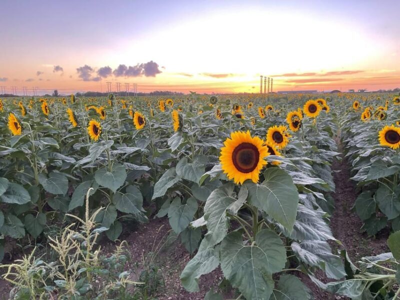 Miami's Ultimate ATV Adventure- Free Passenger & Safety Gear - Why Travelers Love It  