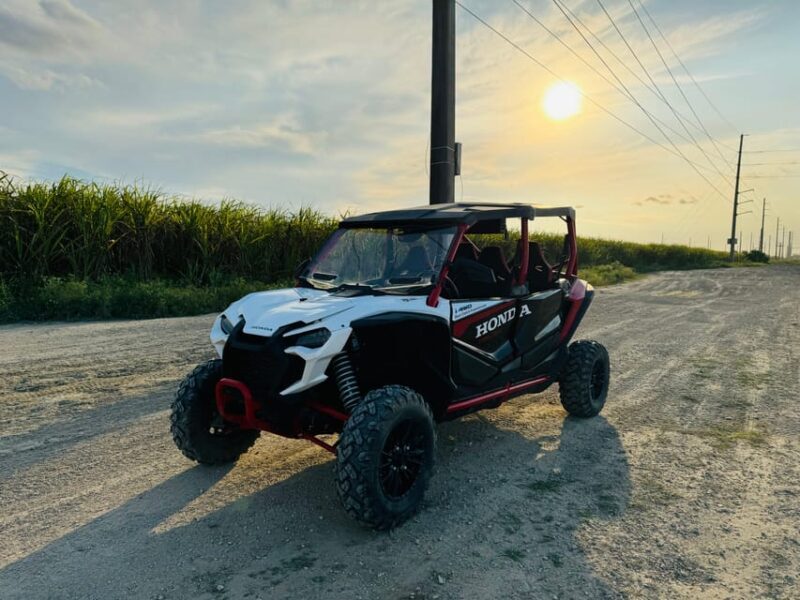 Miami's Ultimate Buggy Adventure on a Honda Talon UTV - An Authentic Off-Road Experience in Miami’s Countryside