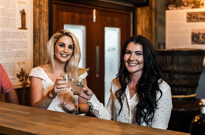Micil Distillery Experience 2 - Gin, Poitín and Whiskey - Who Should Consider This Tour?