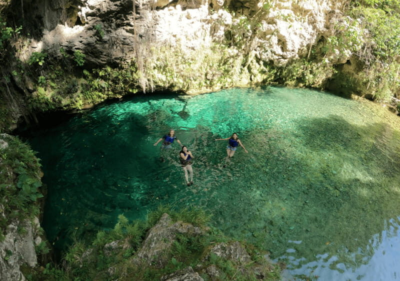 Micos and El Aguacate waterfalls: a nature tour. - An In-Depth Look at the Tour Experience