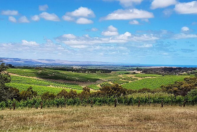 Micro-Group McLaren Vale Wine Tour from Adelaide - Who Will Love This Tour?