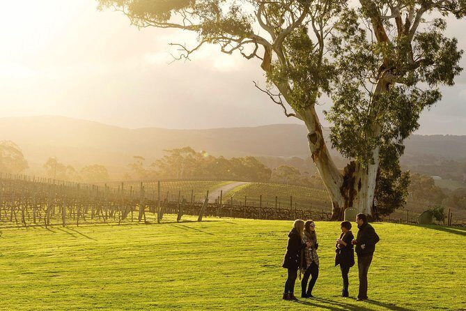 Micro-Group McLaren Vale Wine Tour from Adelaide - FAQ