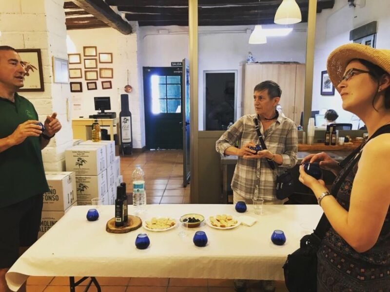 Midday Olive Oil Tour and Visit to Old Town of Belchite - Who Will Love This Tour?  