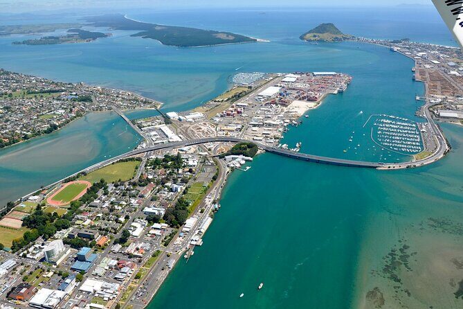 Middle Earth Private Tour from Tauranga Cruise Port. Tickets incl - Final Thoughts: Who Is This Tour Best For?