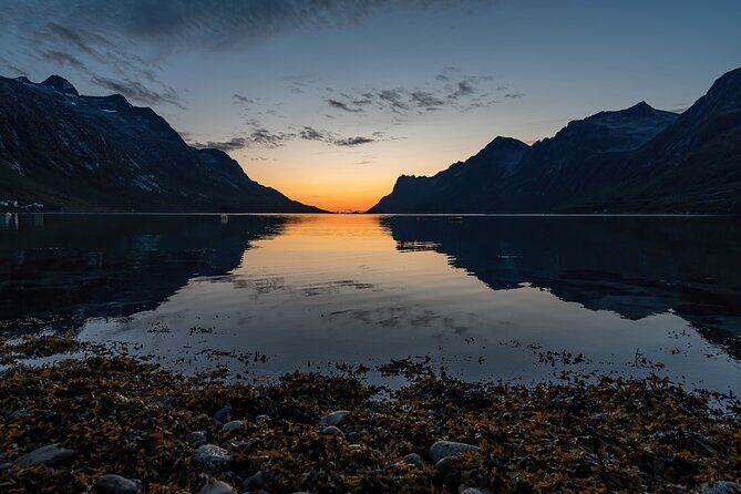 Midnight fjord tour - Authentic Insights from Reviews