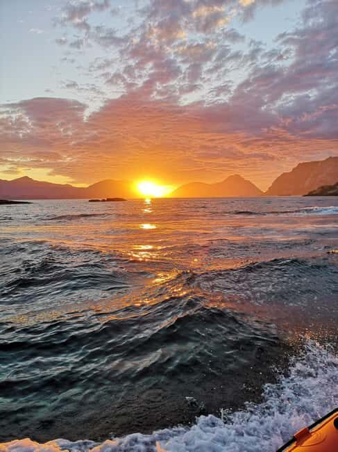 Midnight sun safari - Practical Details: Logistics, Pricing, and Value