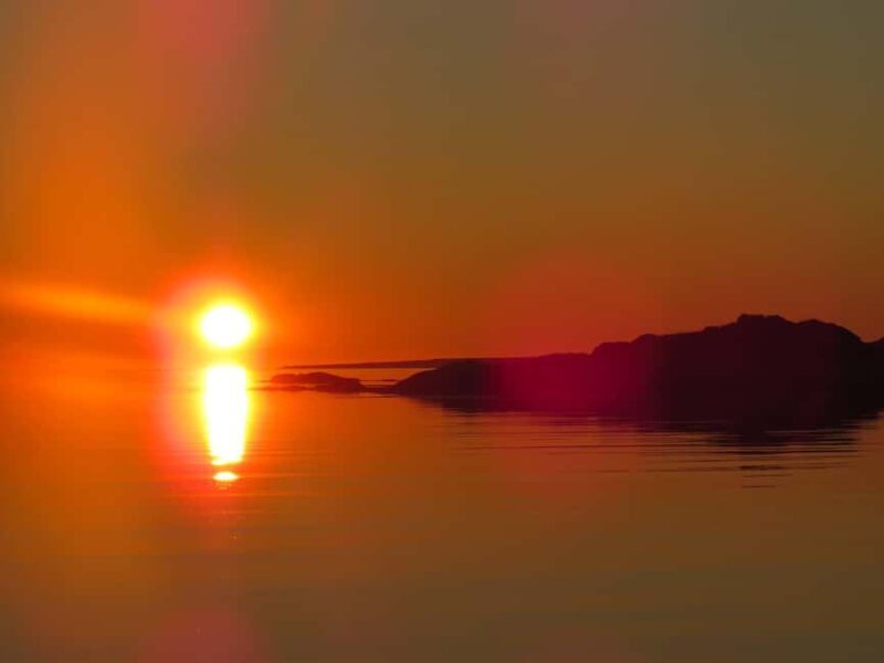 Midnight sun safari - In The Sum Up