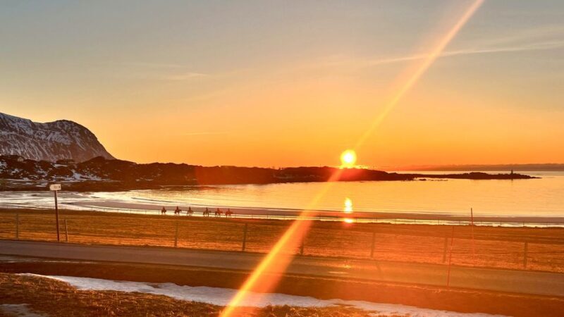 Midnight sun tour - Discovering Lofoten on Horseback: The Itinerary