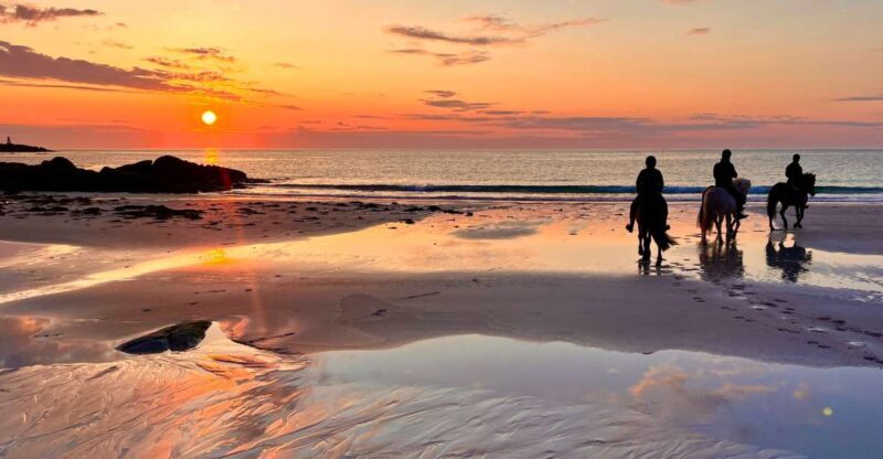 Midnight sun tour - The Value of the Experience