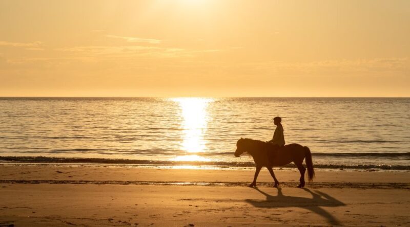 Midnight sun tour - Who Should Consider This Experience?