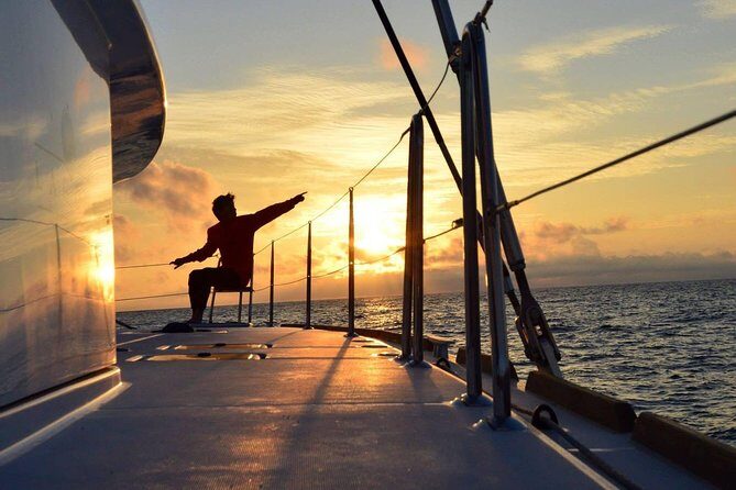 Midnightsun trip - Luxury Catamaran Arctic Princess - Key Points