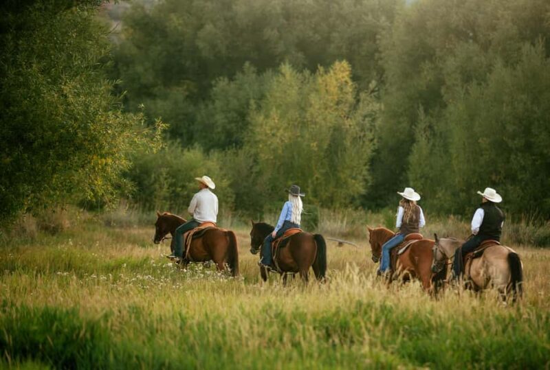 Midway, Utah: Horseback Riding Tour with Guide - Who Would Love This Experience?