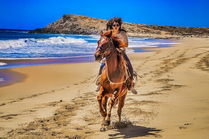 Migriño Beach Horseback Riding Experience - What to Expect on Tour Day