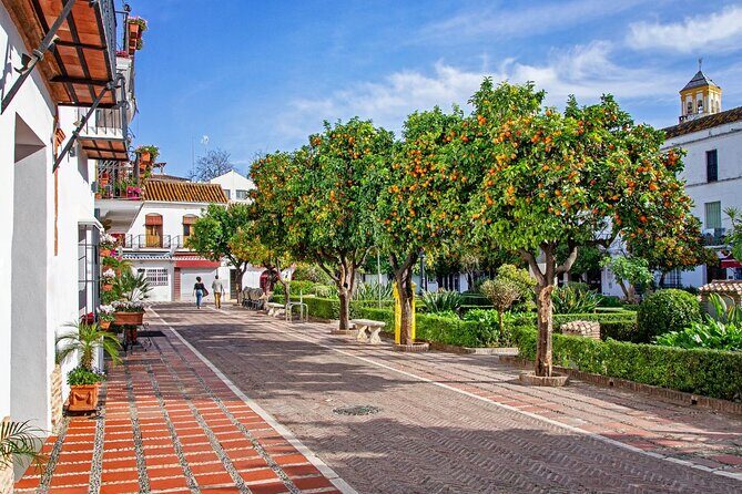 Mijas and Marbella Tour from Malaga - Potential Drawbacks