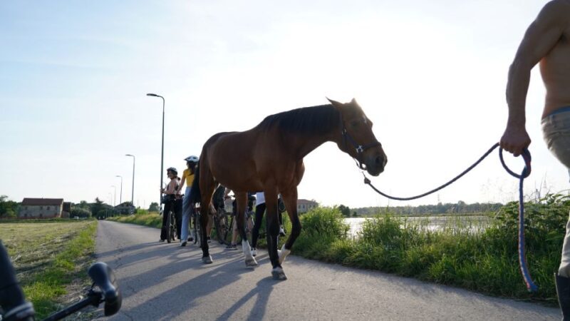 Milan: Bike Tour with Picnic on the turtle lake - FAQs