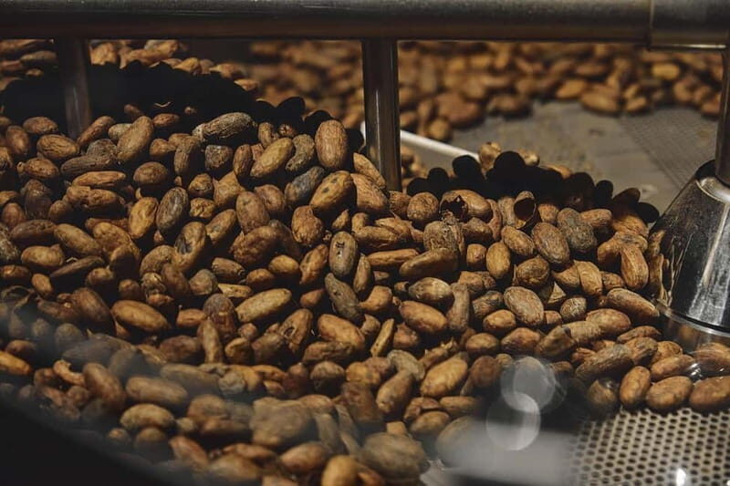 Milan: Enrico Rizzi Chocolate Factory Tour with Tasting - Final Thoughts