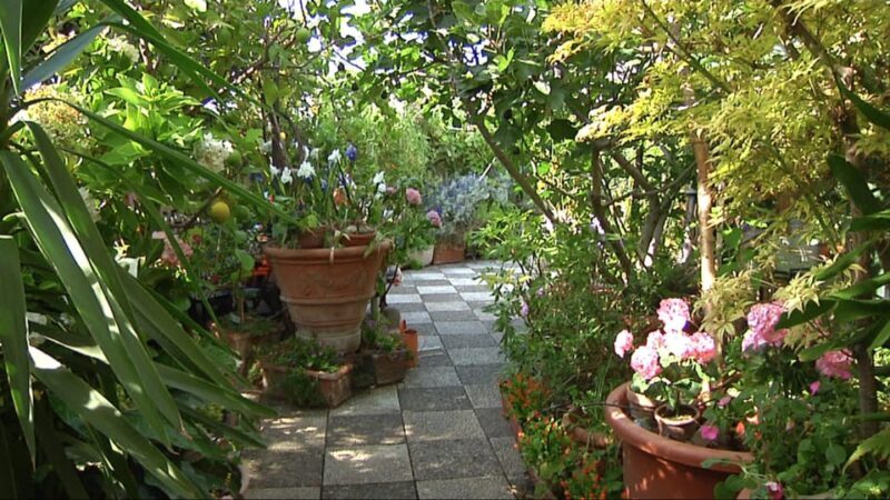 Milan: Fresh Pasta & Tiramisù Class in a Glamorous Home - Key Points