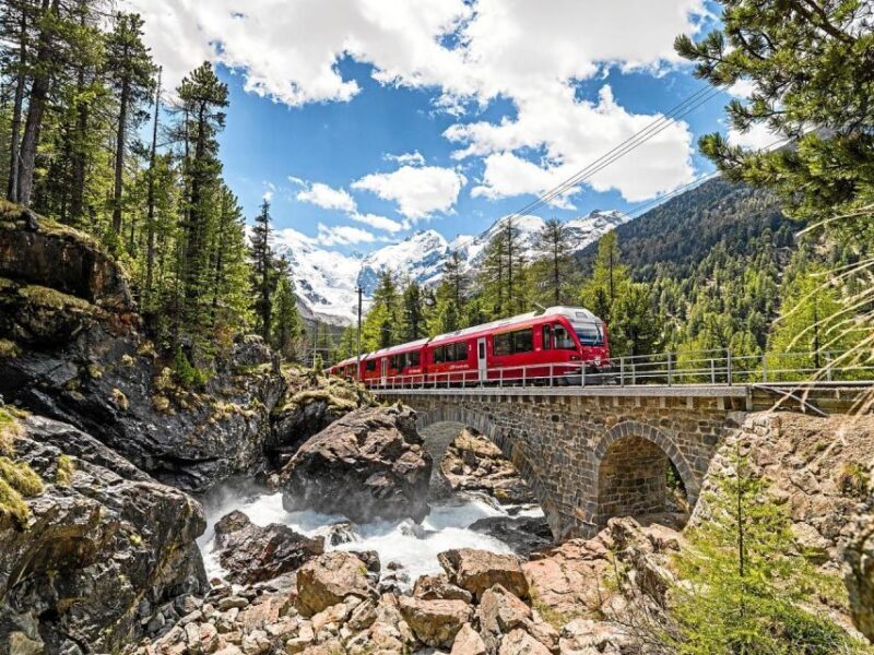 Milan to St. Moritz: Scenic Bernina Train Tour with Guide - Practical Aspects to Consider